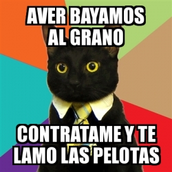 Meme Business Cat - aver bayamos al grano contratame y te lamo las ...