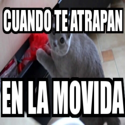 Meme Personalizado - cuando te atrapan EN LA movida - 21910588