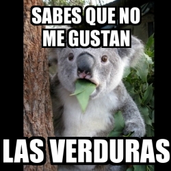 Meme Koala - Sabes que no me gustan Las verduras - 21923445