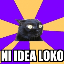Meme Anxiety Cat - ni idea loko - 21949600