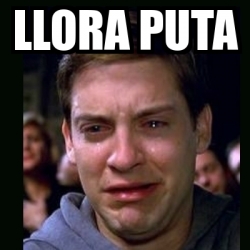 Meme crying peter parker - Llora puta - 21962629