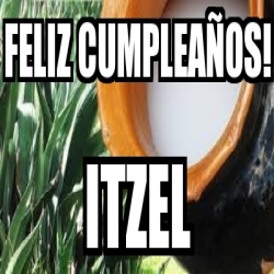 Meme Personalizado - Feliz cumpleaÃ±os! Itzel - 22011439