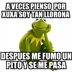 Meme Kermit the frog - a veces pienso por xuxa soy tan llorona despues ...