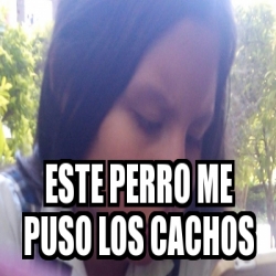 Meme Personalizado - Este perro me puso los cachos - 22189920