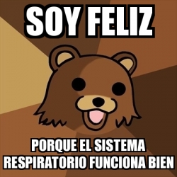 Meme Pedobear - soy feliz porque el sistema respiratorio funciona bien ...