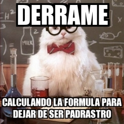 Meme Chemistry Cat - derrame calculando la formula para dejar de ser ...