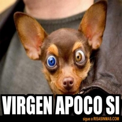Meme Personalizado - Virgen apoco si - 22319922