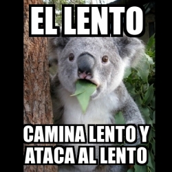 Meme Koala - el lento camina lento y ataca al lento - 22409148
