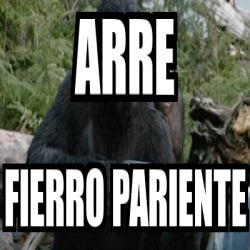 Meme Personalizado - arre fierro pariente - 22426603