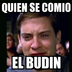 Meme crying peter parker - quien se comio el budin - 22611171
