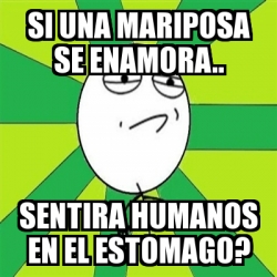 Meme Challenge Accepted - si una mariposa se enamora.. sentira humanos ...