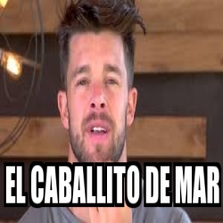 Meme Personalizado - el caballito de mar - 22691950