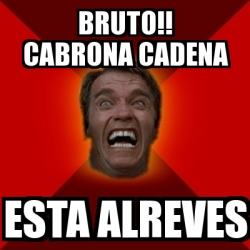 Meme Arnold - bruto!! cabrona cadena esta alreves - 22719782