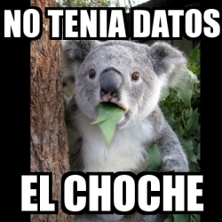 Meme Koala - No tenia datos El choche - 22729042