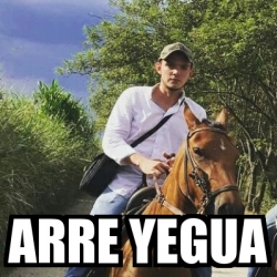Meme Personalizado - Arre yegua - 22797818