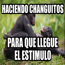 Meme Personalizado - Haciendo changuitos para que llegue el estimulo ...