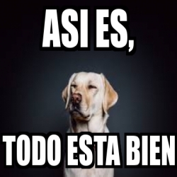 Meme Personalizado - asi es, todo esta bien - 23156077
