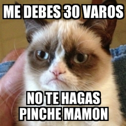Meme Grumpy Cat - ME DEBES 30 VAROS NO TE HAGAS PINCHE MAMON - 23304716