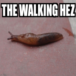 Meme Personalizado - THE WALKING HEZ - 23311958