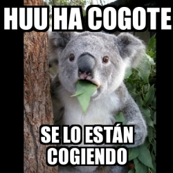Meme Koala - Huu ha cogote Se lo estÃ¡n cogiendo - 23338605