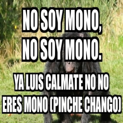 Meme Personalizado - no soy mono, no soy mono. ya luis calmate no no ...