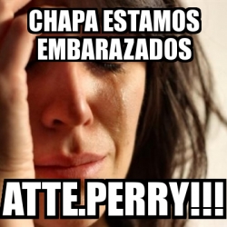 Meme Problems - Chapa estamos embarazados Atte.PERRY!!! - 23617838