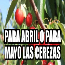 Meme Personalizado - para abril o para mayo las cerezas - 23629333