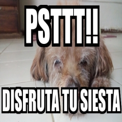 Meme Personalizado - psttt!! disfruta tu siesta - 23708368