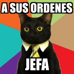 Meme Business Cat - a sus ordenes jefA - 23773270
