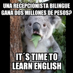 Meme Koala - una recepcionista bilingue gana dos millones de pesos? itÂ ...
