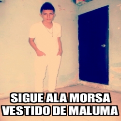 Meme Personalizado - sigue ala morsa vestido de maluma - 23825978