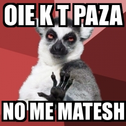 Meme Chill Out Lemur - oie k t paza no me matesh - 23835293