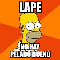 Meme Homer - Lape no hay pelado bueno - 23894360