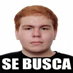 Meme Personalizado - se busca - 23906727