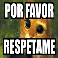 Meme Personalizado - POR FAVOR RESPETAME - 24002108