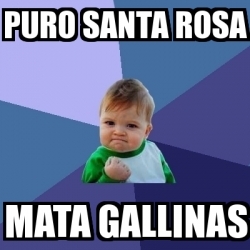 Meme Bebe Exitoso - puro santa Rosa mata gallinas - 24108108