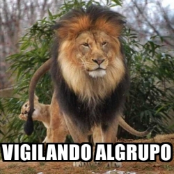 Meme Personalizado - vigilando algrupo - 24112804