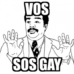 Meme Ay Si - Vos Sos gay - 24181200