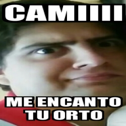 Meme Personalizado - Camiiii Me encanto tu orto - 24264389