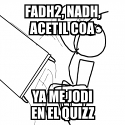 Meme Desk Flip Rage Guy - fadh2, nadh, acetil coa ya me jodi en el ...