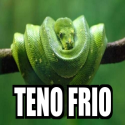 Meme Personalizado - teno frio - 24356410