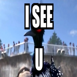 Meme Personalizado - I see U - 24375097