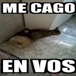 Meme Personalizado - ME CAGO EN VOS - 24386957