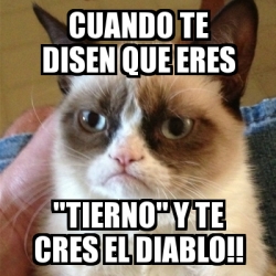 Meme Grumpy Cat - cuando te disen que eres "tierno" y te cres el diablo ...