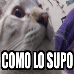 Meme Personalizado - Como lo supo - 24567139