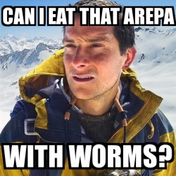 Meme Bear Grylls - can i eat that arepa with worms? - 24625642
