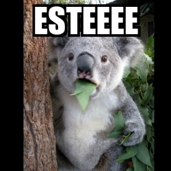 Meme Koala - Esteeee - 24642486