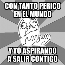 Meme Whyyy - cON tanto perico en el mundo y yo aspirando a salir ...
