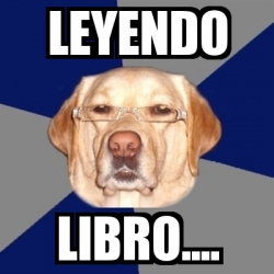Meme Perro Racista - Leyendo Libro.... - 24656026