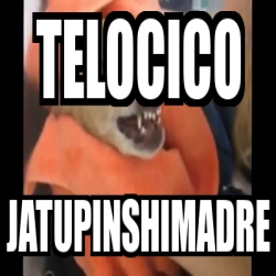 Meme Personalizado - Telocico Jatupinshimadre - 24712195